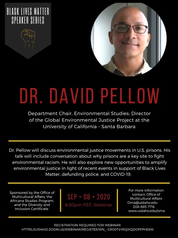 Dr. David Pellow | Black History at the University of Idaho