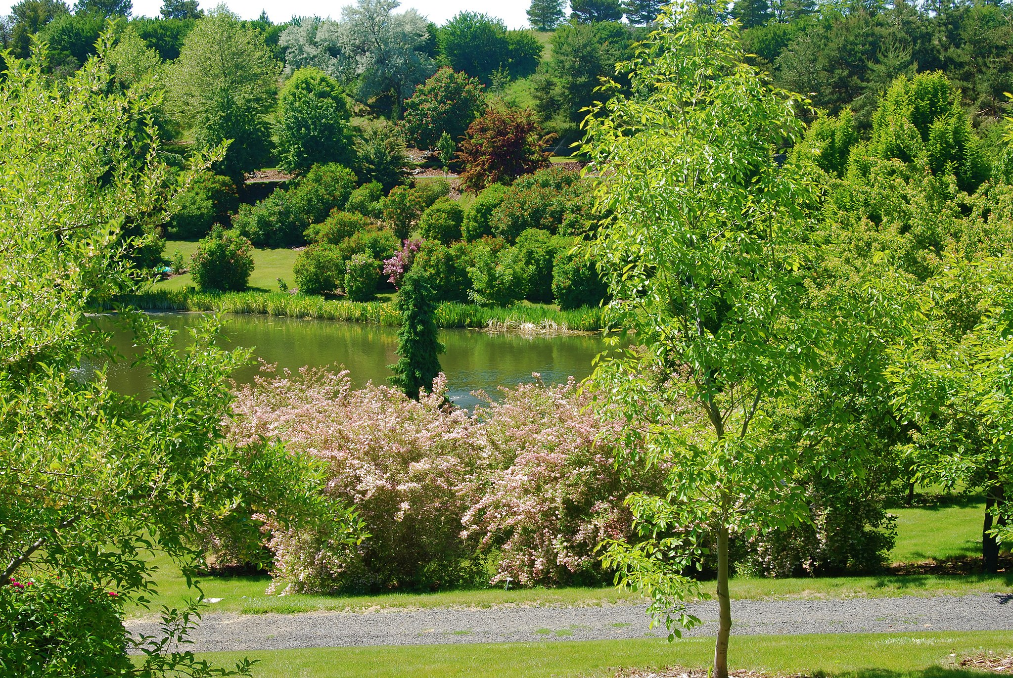 Home | Arbor Notes Collection